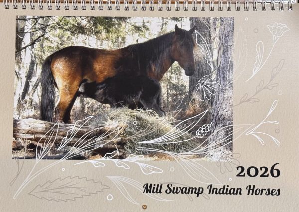 2026 MSIH Calendars | Mill Swamp Indian Horses